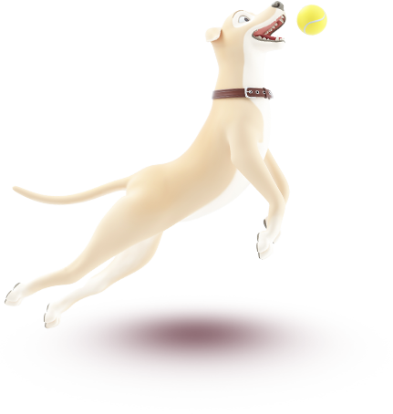 La salud mental de tu lomito - Pingo